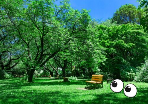 糸魚川・ヒスイの日